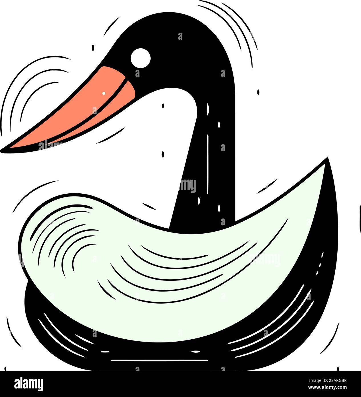 Hand drawn vector illustration of a swan swimming in a pool Stock ...