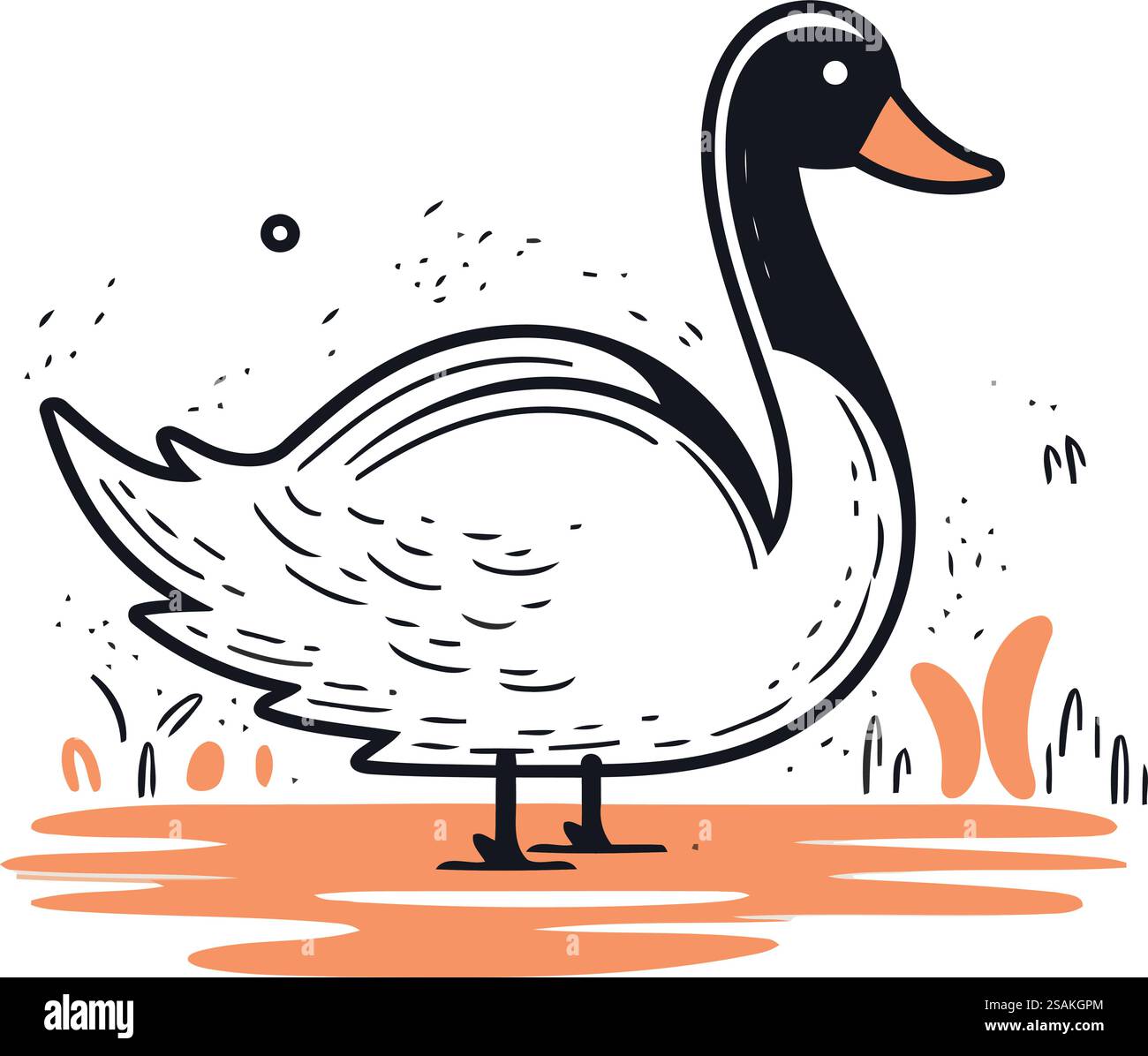 Duck. Vector illustration. Hand drawn doodle sketch Stock Vector Image ...