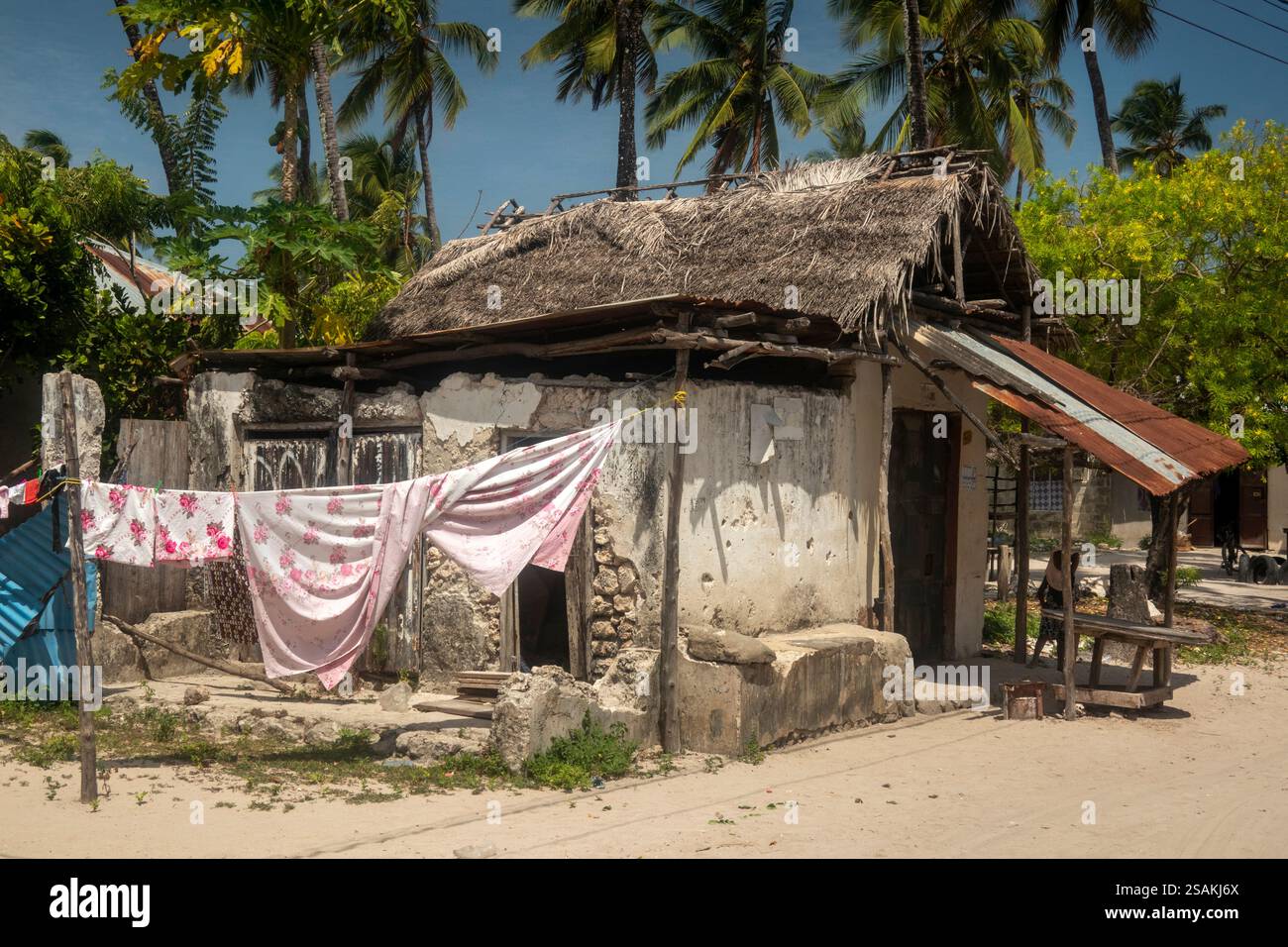 Africa Tanzania, Zanzibar, East Coast, Pingwe, village house Stock ...