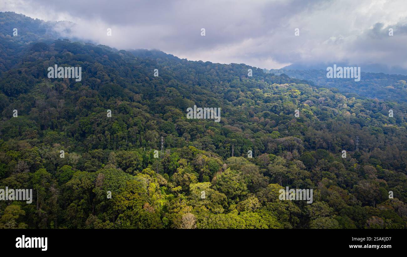 Its surrounding green forests in Bedugul, Bali, captured from above. A ...