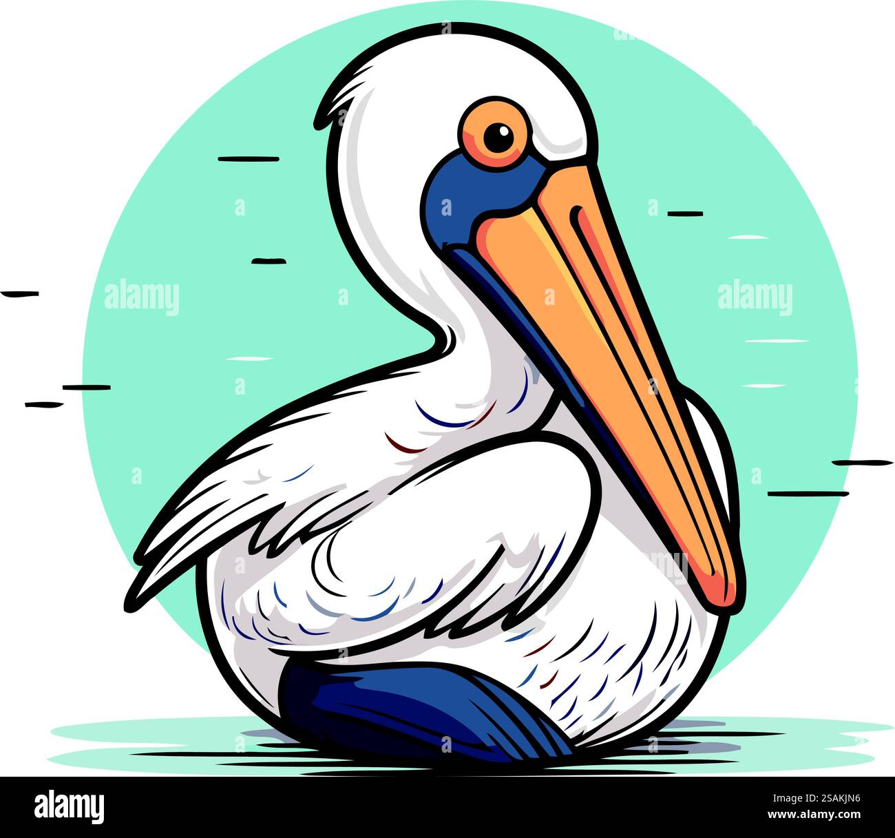 Pelican vector illustration. Isolated on a white background Stock ...
