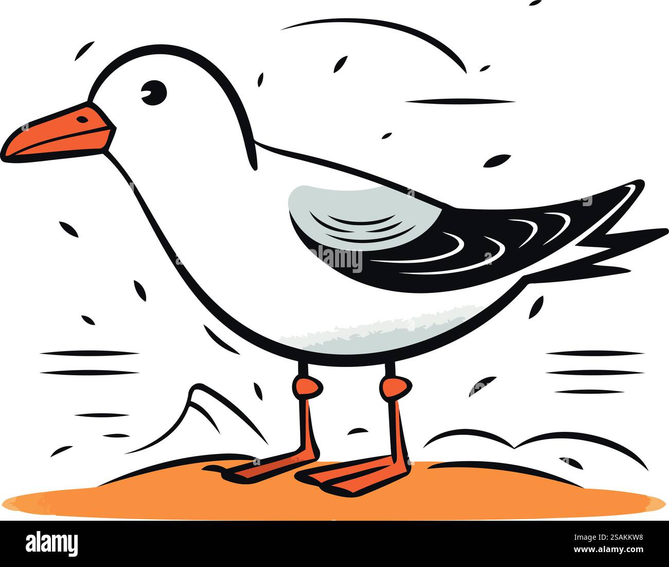 Vector illustration of a seagull. Isolated on a white background Stock ...