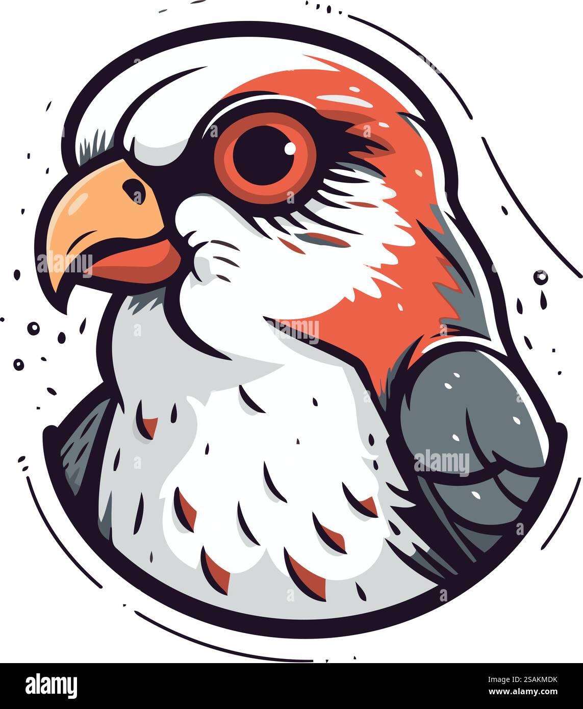 Vector illustration of a red veined falcon on a white background Stock ...