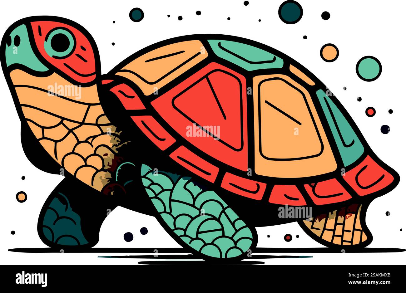 Turtle vector illustration. Hand drawn turtle isolated on white ...