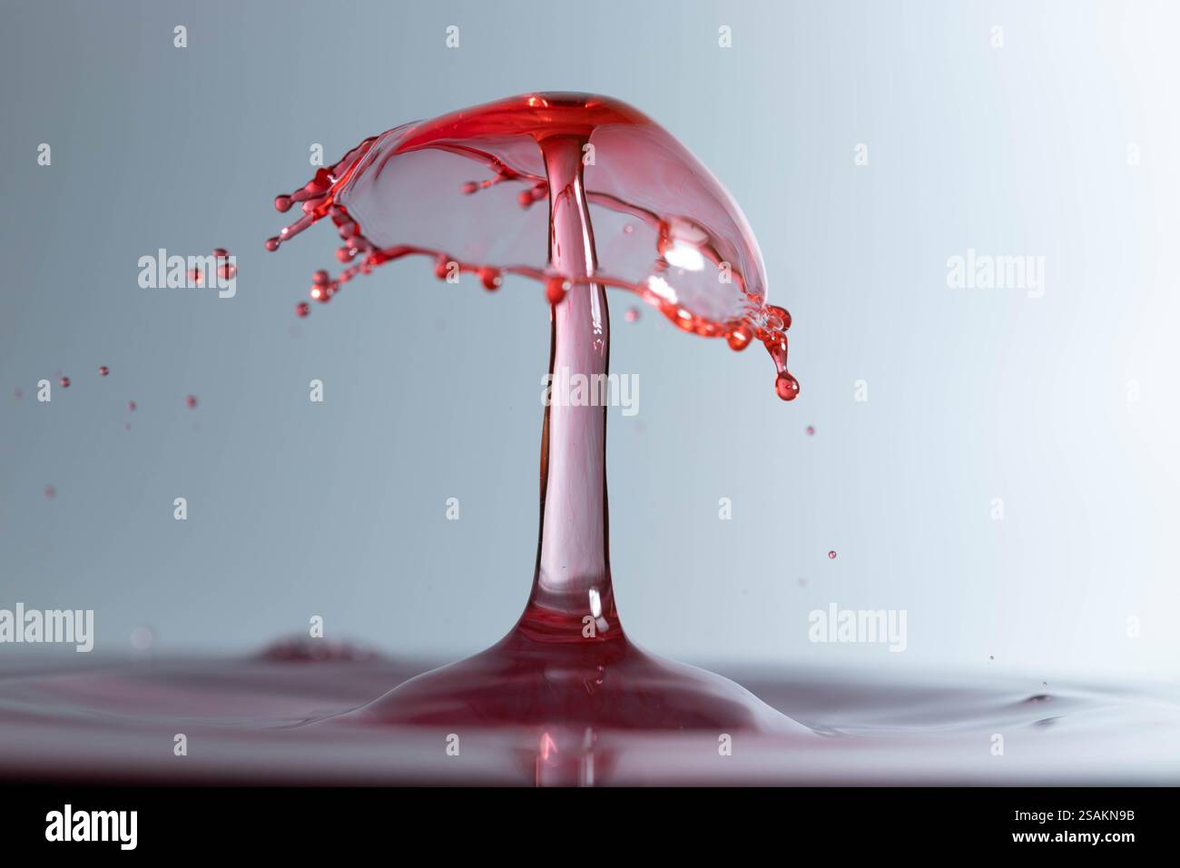 Red blood like water droplet collision Stock Photo - Alamy