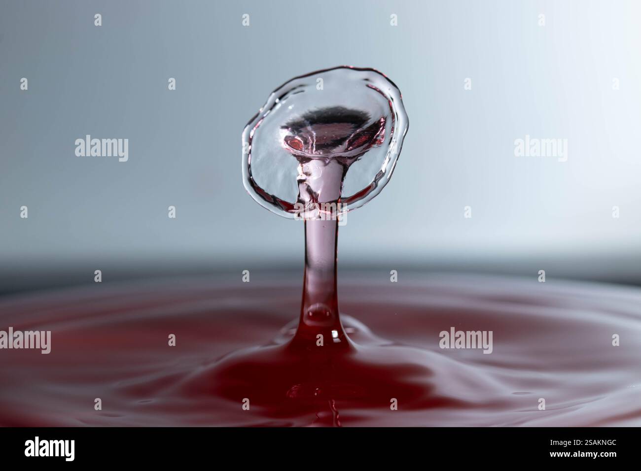 Red blood like water droplet collision Stock Photo - Alamy
