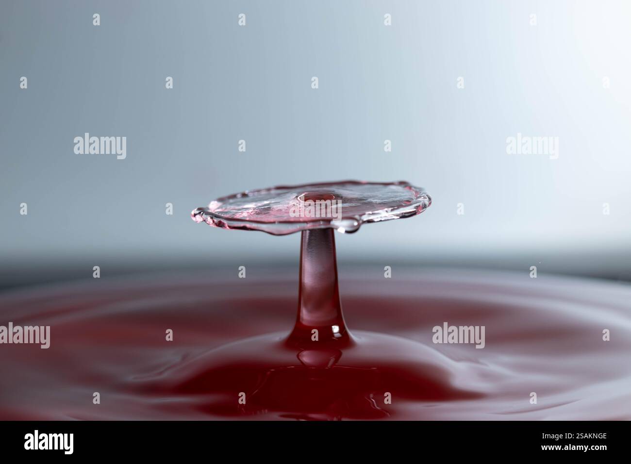 Red blood like water droplet collision Stock Photo - Alamy