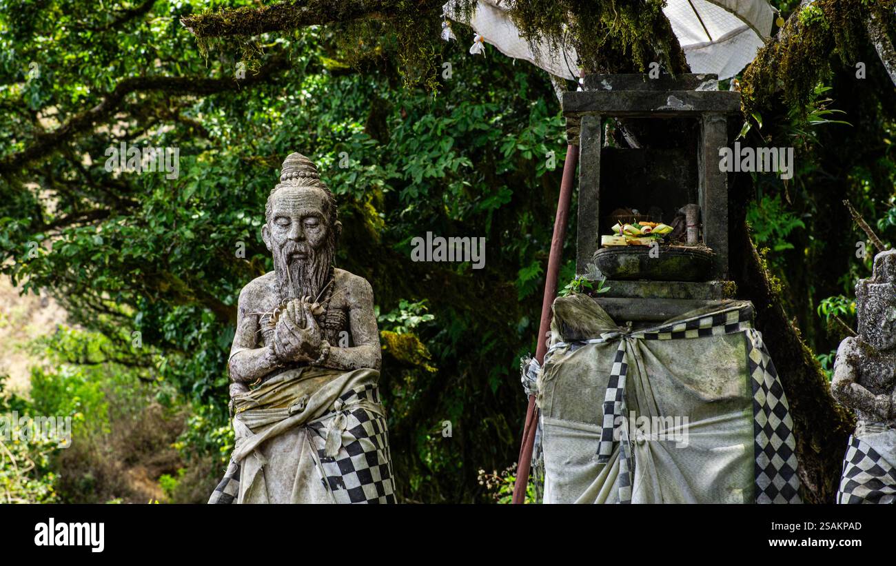 A sacred statue and small shrine standing amidst moss-covered trees on ...