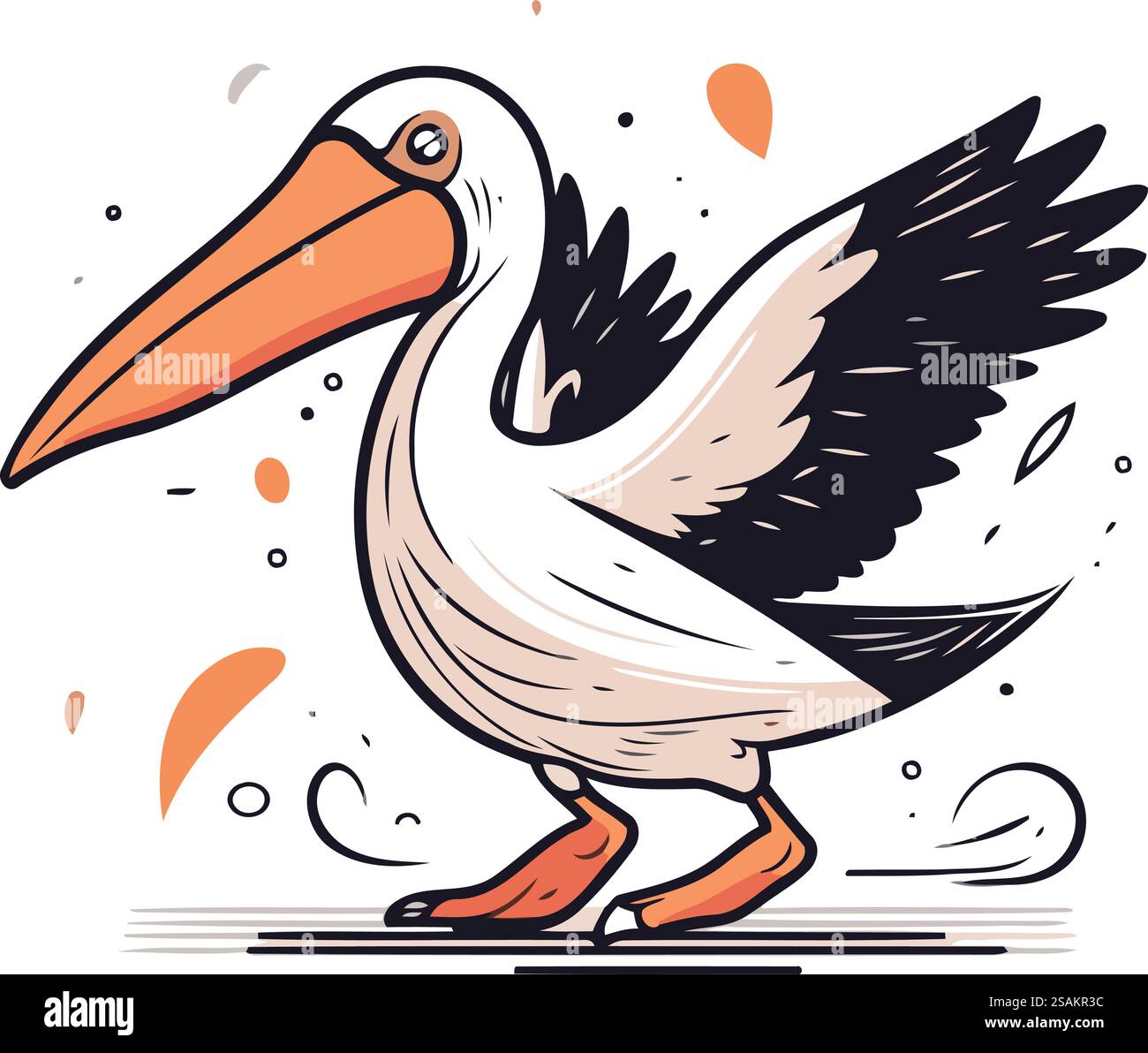 Pelican vector illustration. Hand drawn pelican isolated on white ...