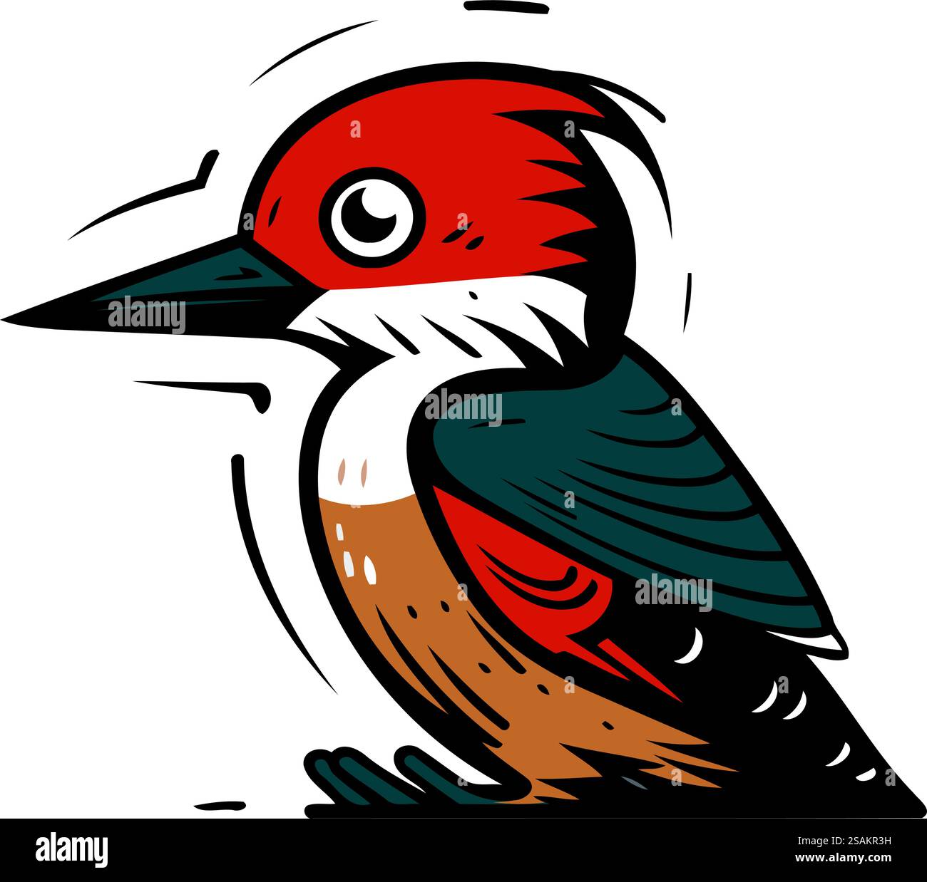 Red backed woodpecker. Woodpecker vector illustration Stock Vector ...
