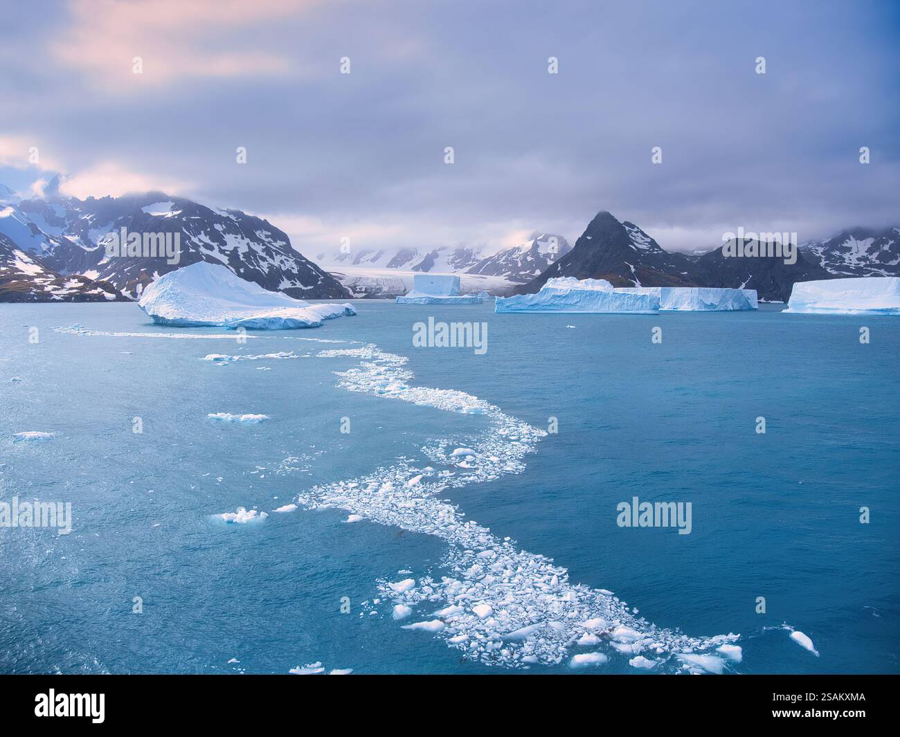 The iceberg graveyard off the shores of South Georgia, where bergy bits ...