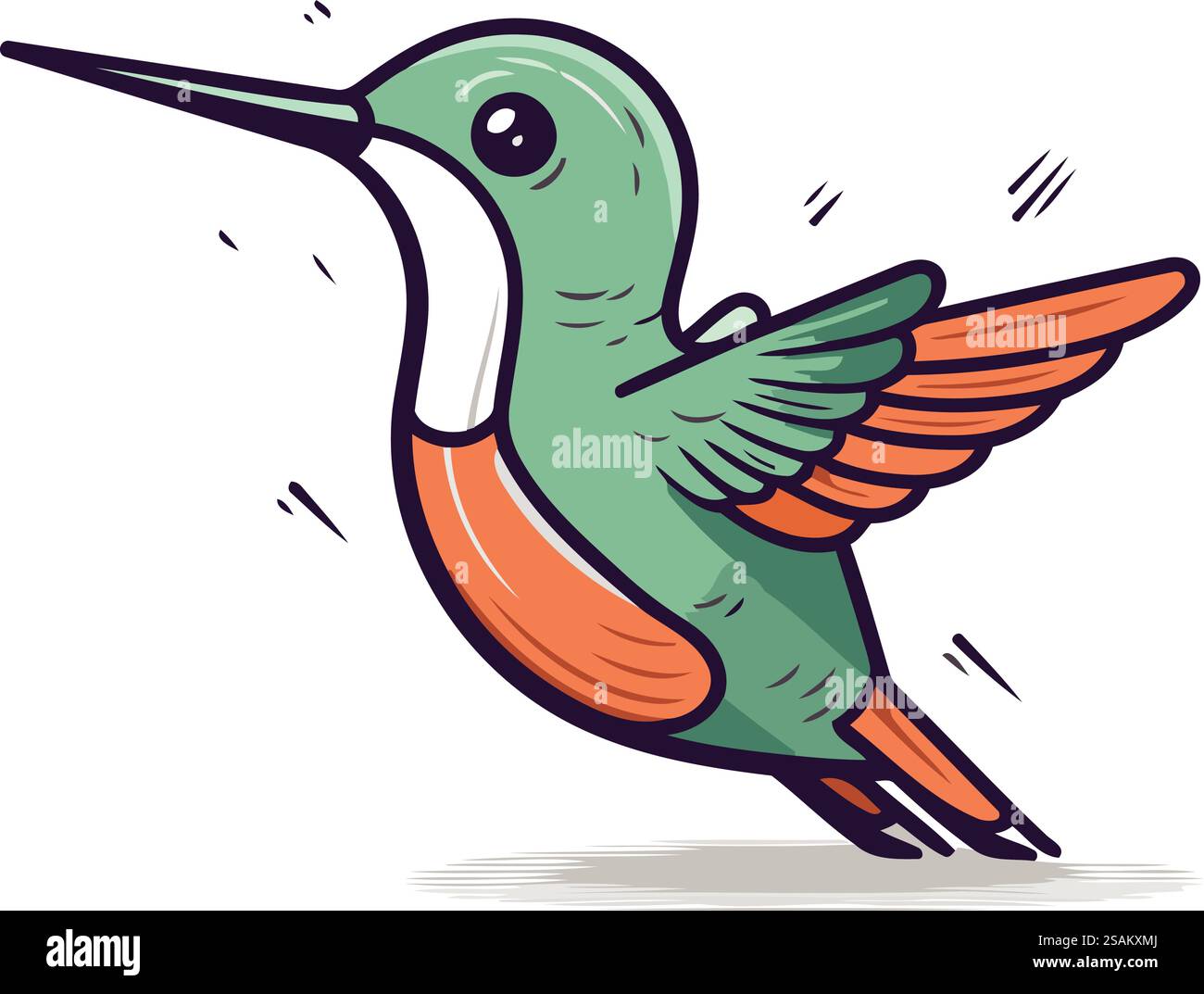 Hummingbird cartoon vector illustration. Isolated on white background ...