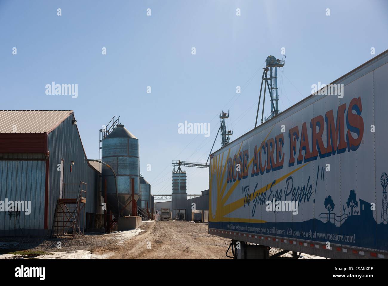 Cort acre egg farm hi-res stock photography and images - Alamy