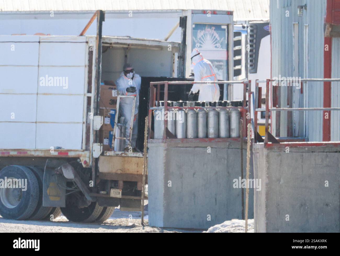 Workers carry gas containers into a chicken coop at the Rose Acre Farms ...