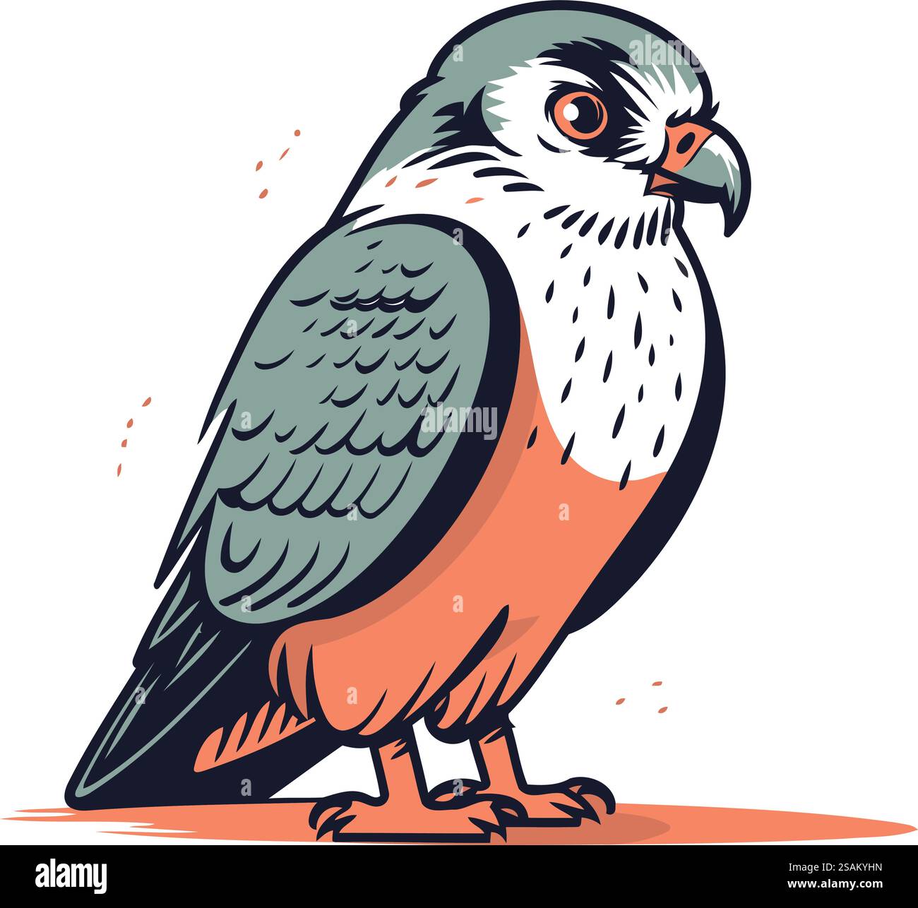 Kestrel bird. Vector illustration of a kestrel bird Stock Vector Image ...