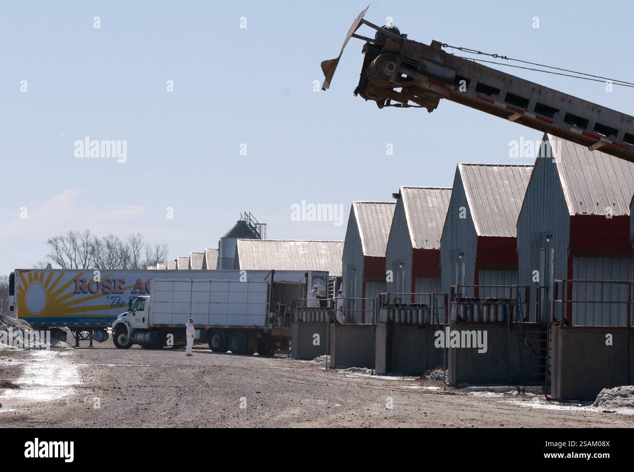 Bloomington, United States. 29th Jan, 2025. View of chicken coop ...