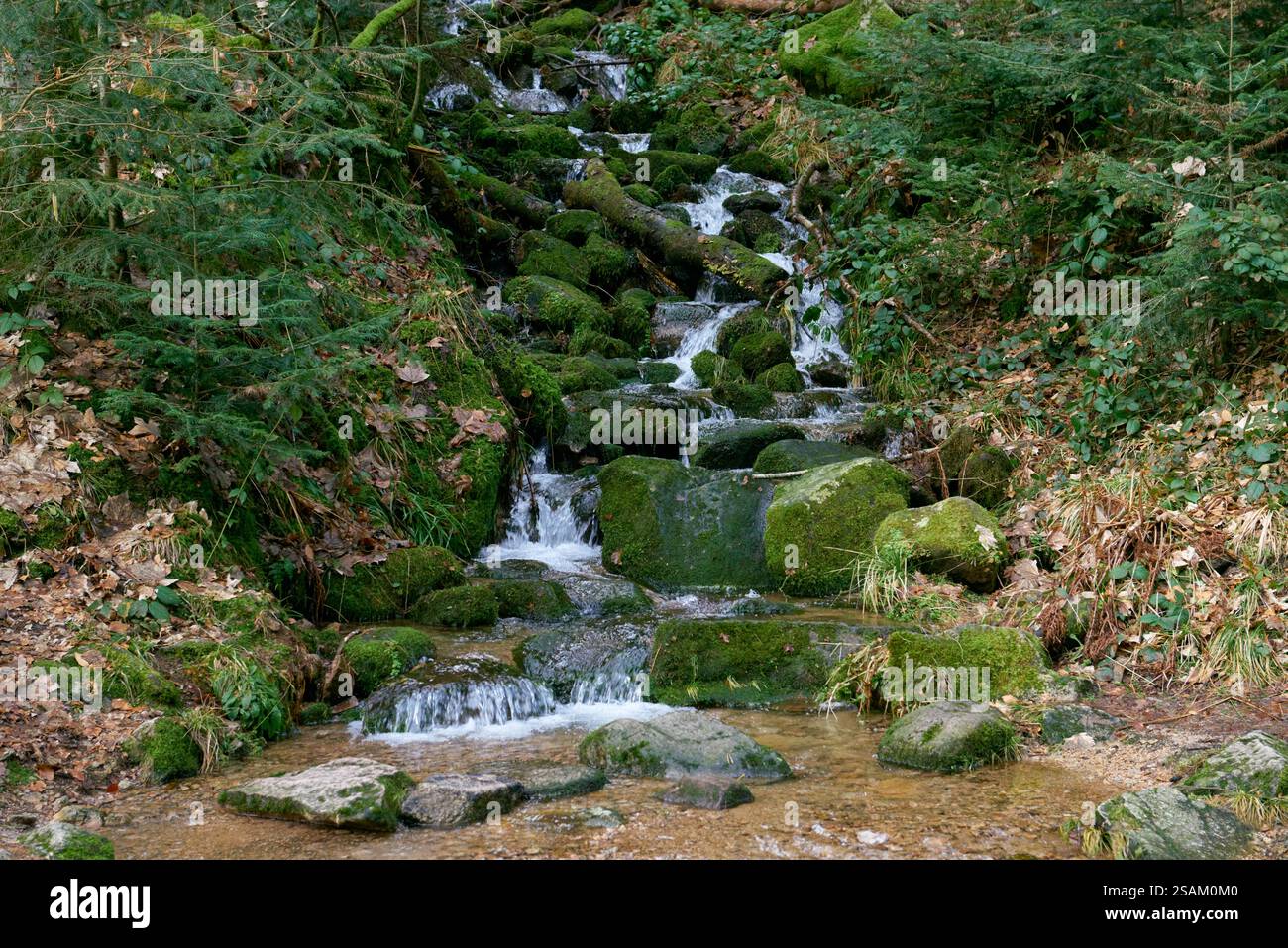 Misty Allerheiligen Waterfalls in Black Forest National Park, Germany ...
