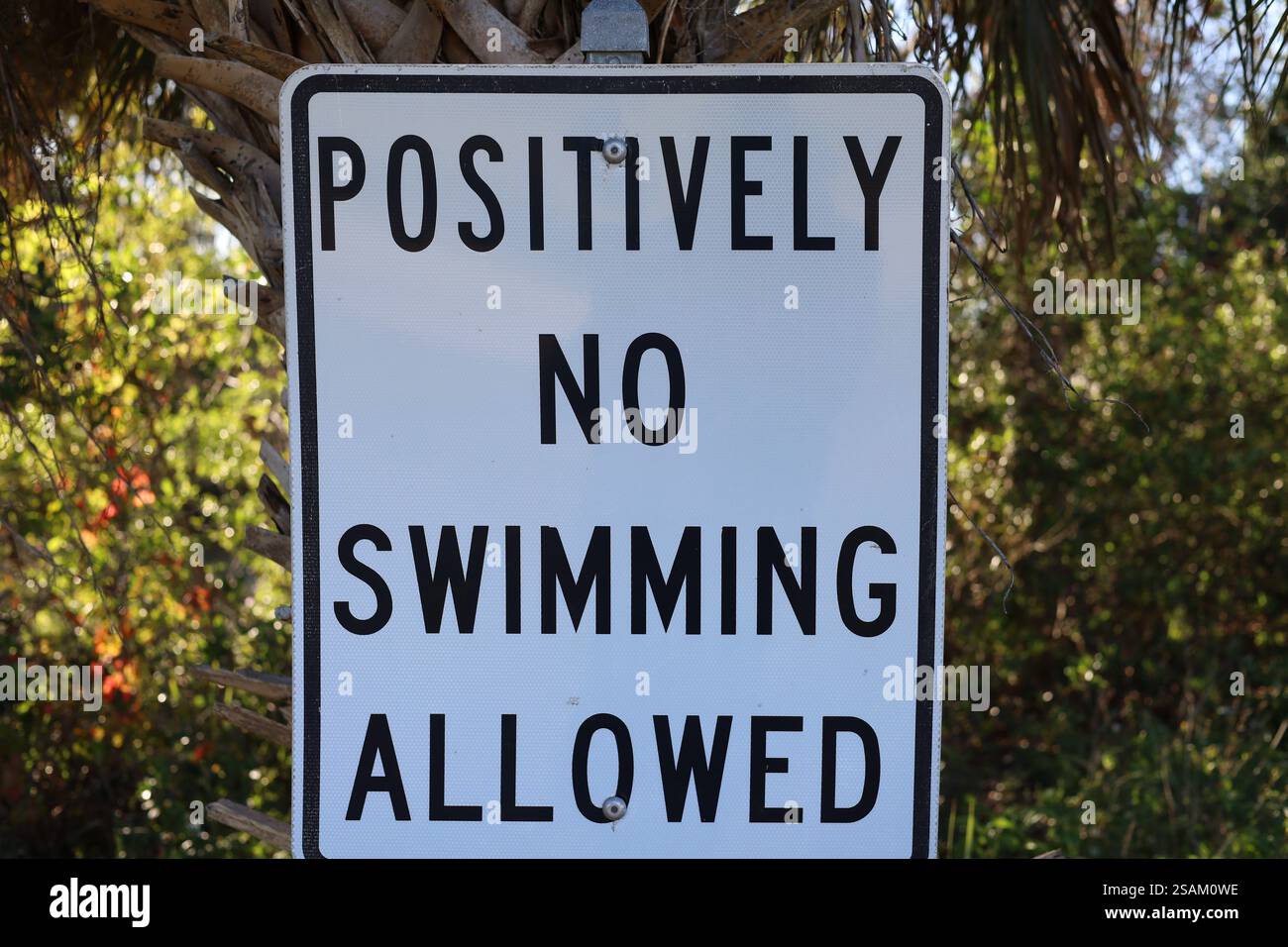 Positively no swimming allowed warning sign posted on palm tree trunk ...