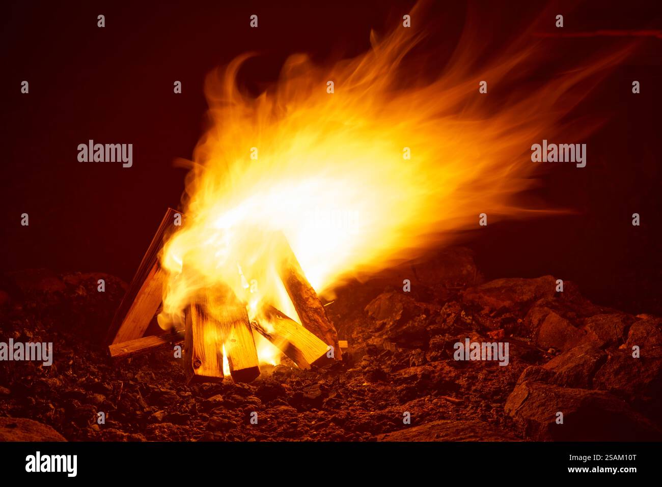 Vibrant campfire flames illuminate dark wilderness night with bright ...