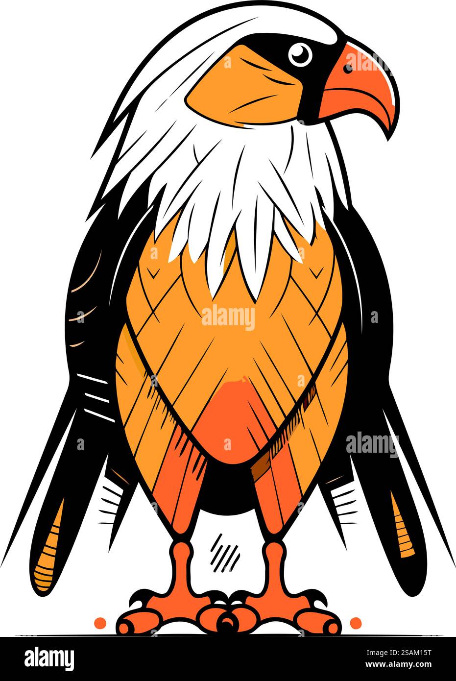 Bald eagle vector illustration isolated on white background. Cartoon ...