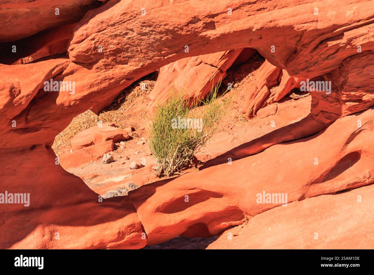 The Valley of Fire derives its name from red sandstone formations ...