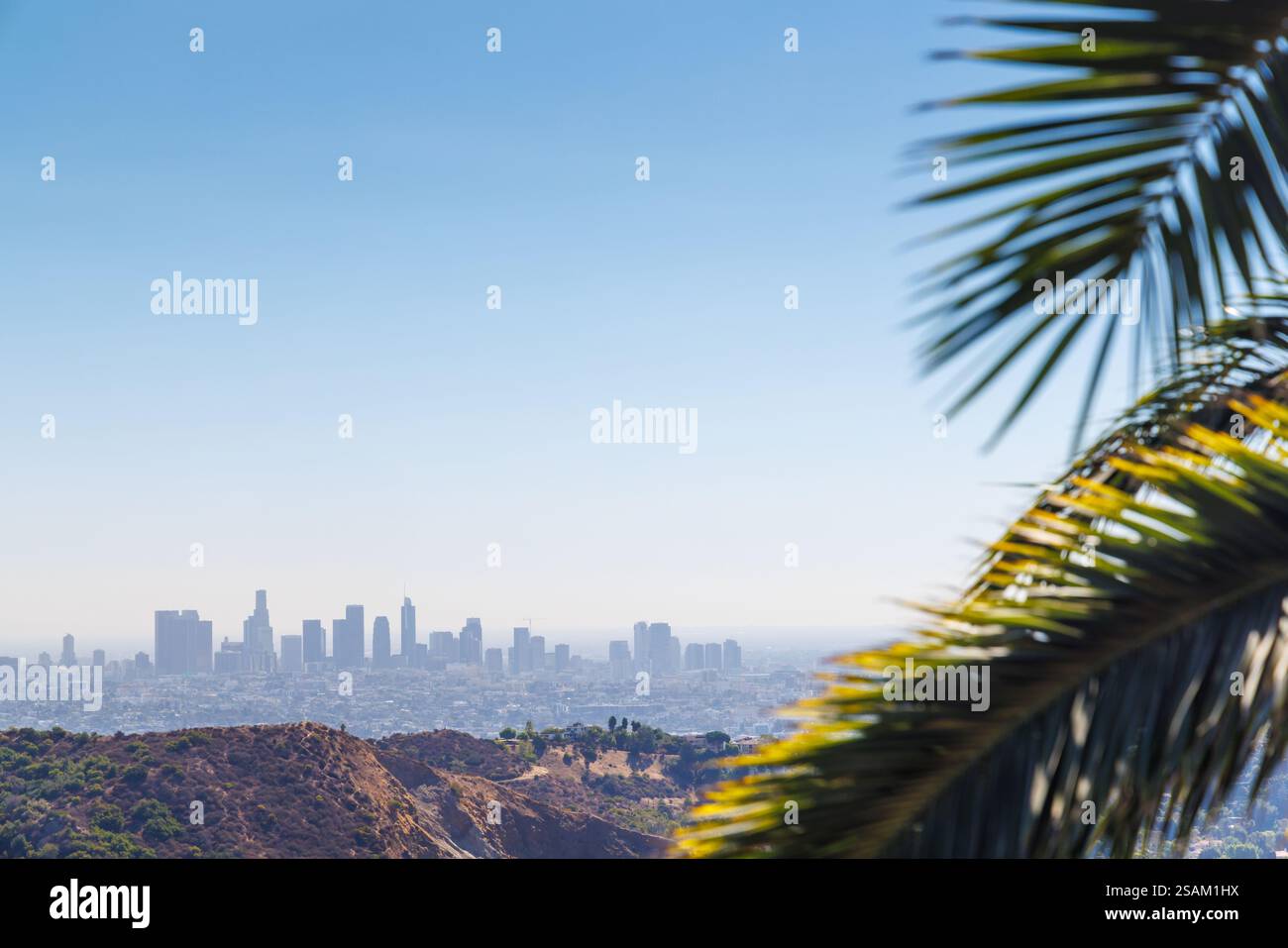 Los Angeles skyline with iconic skyscrapers on the horizon framed by ...