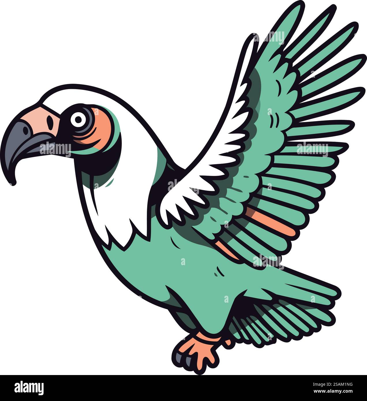 vector illustration of a vulture in flight isolated on a white ...