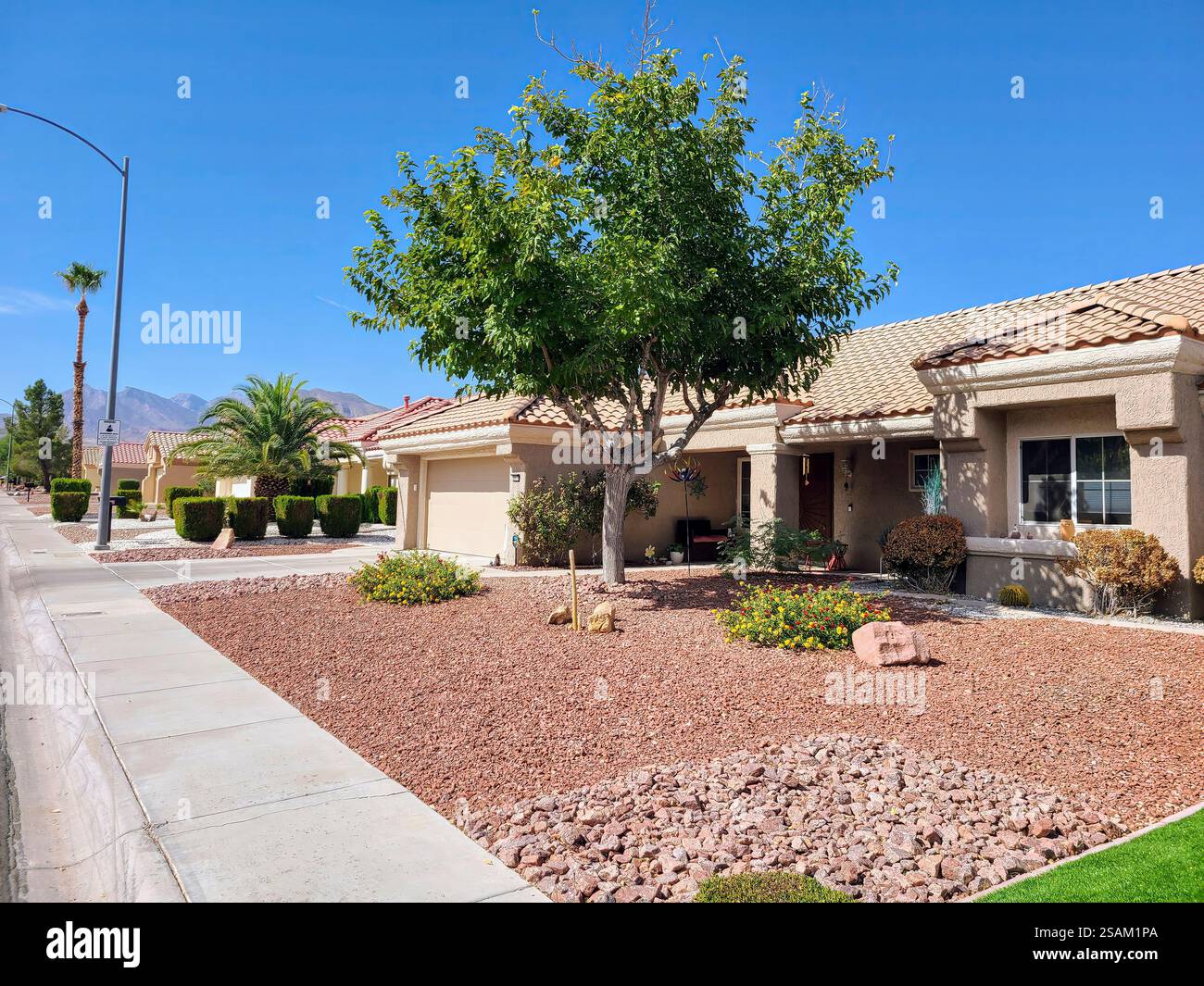 Desert Suburban Home and Landscaping with Mountain View Eye Level ...
