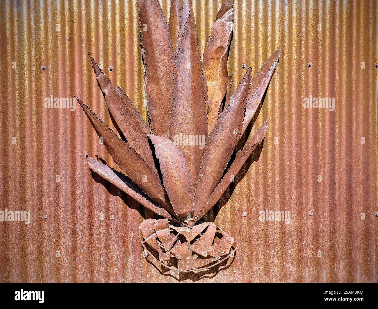 Rusted Agave Metal Art on Corrugated Wall Eye-Level View Stock Photo ...