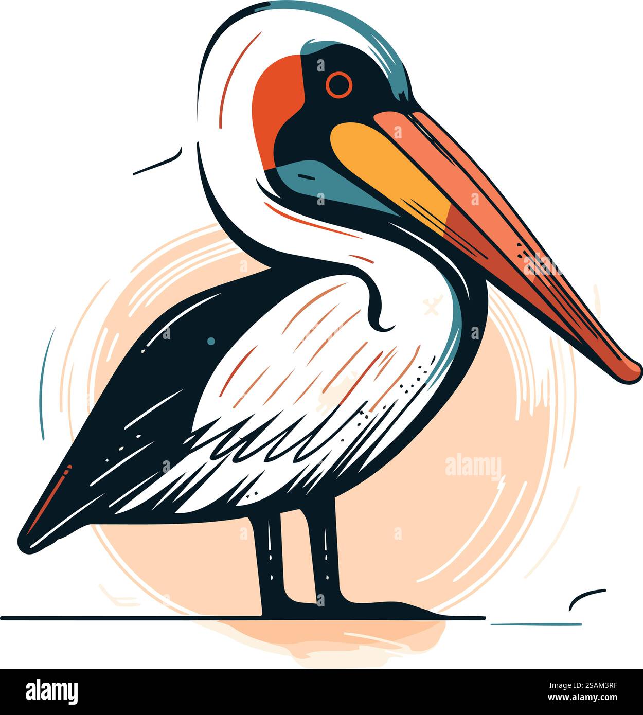 Pelican vector illustration. Hand drawn sketch of pelican Stock Vector ...