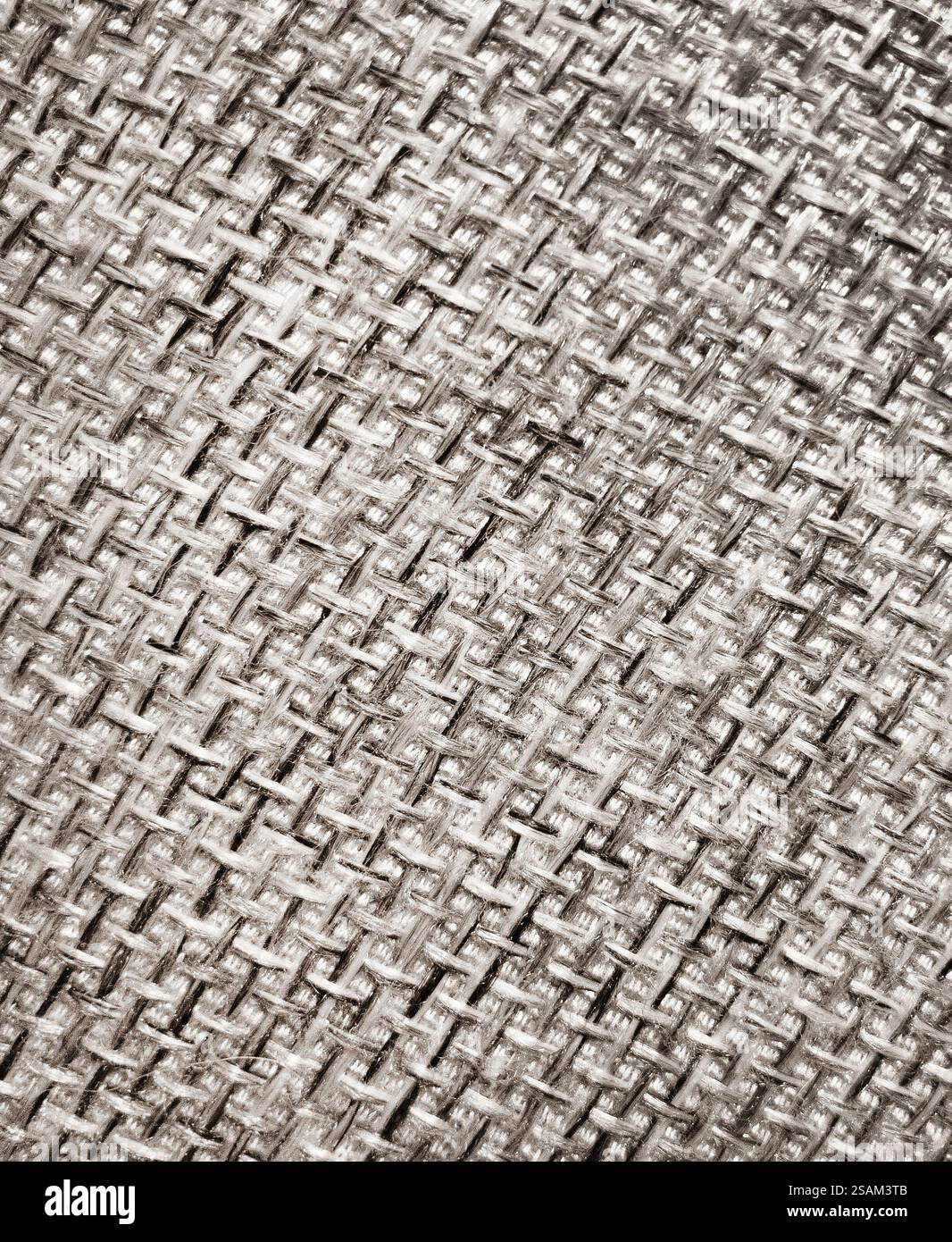 Webbed structure hi-res stock photography and images - Alamy