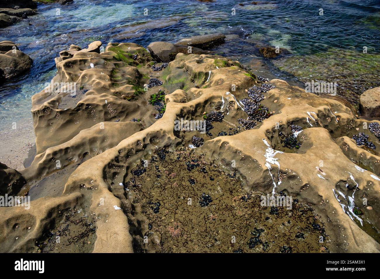 A rocky shoreline with a large rock in the middle. The rock is covered ...