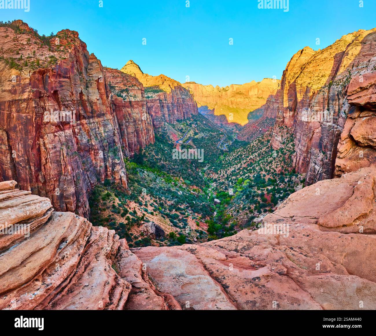 Zion Canyon Cliffs and Greenery at Golden Hour Panorama Stock Photo - Alamy