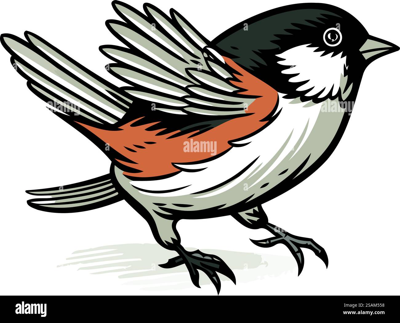 Animal bird titmouse Stock Vector Images - Alamy