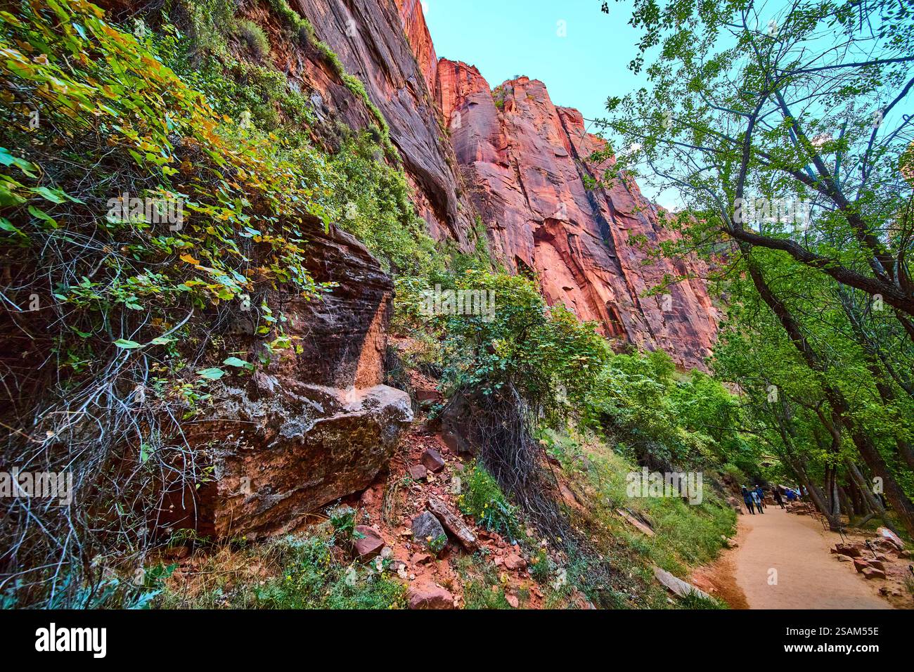 Towering Red Cliffs and Lush Greenery Hiking Trail Perspective Stock ...