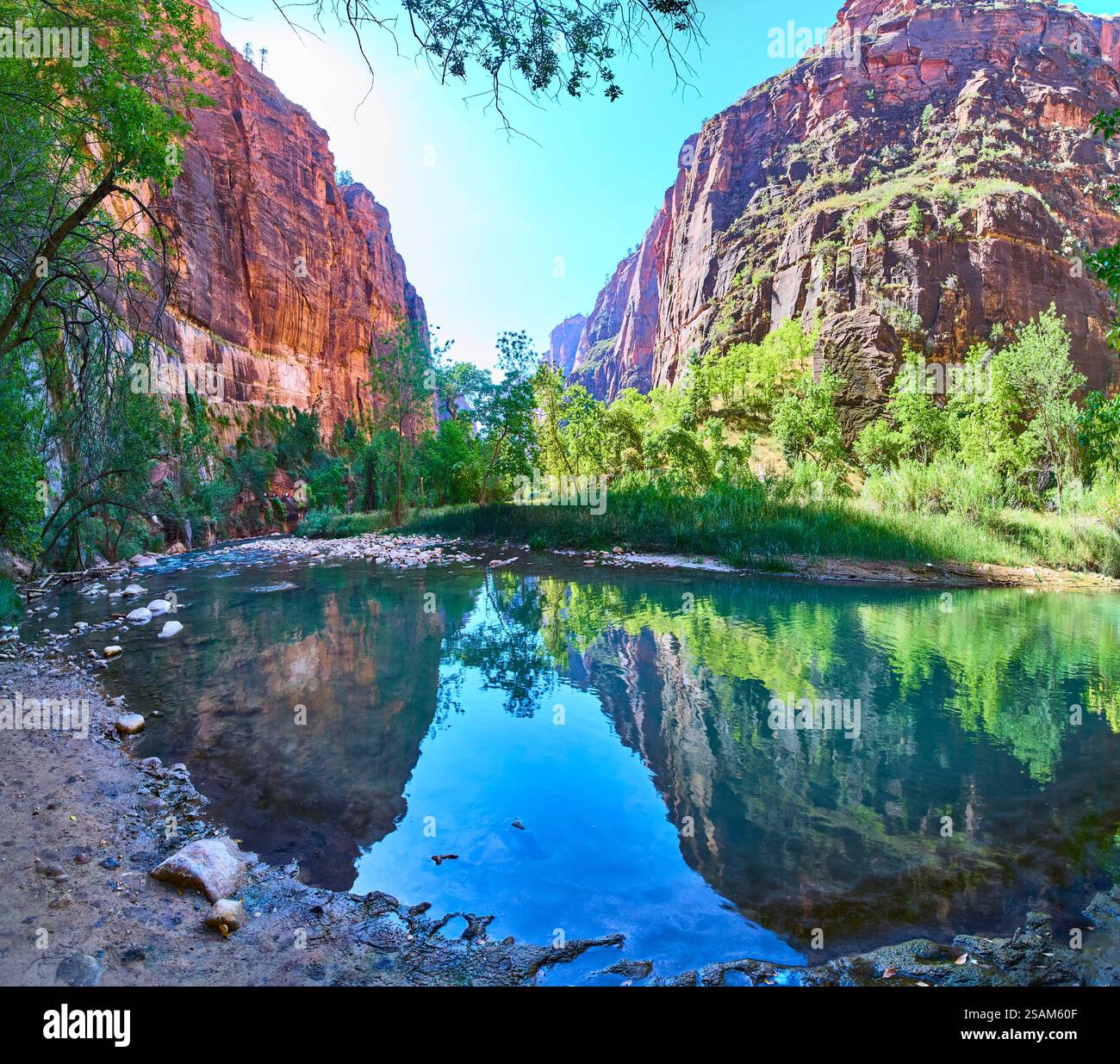 Zion Red Cliffs Reflection with Tranquil Pool Eye-Level View Stock ...