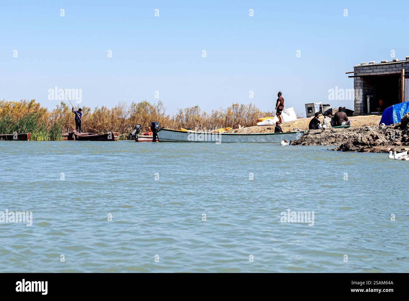 Mesopotamian / Iraqi Marshes with the so called Marsh Arabs Stock Photo ...