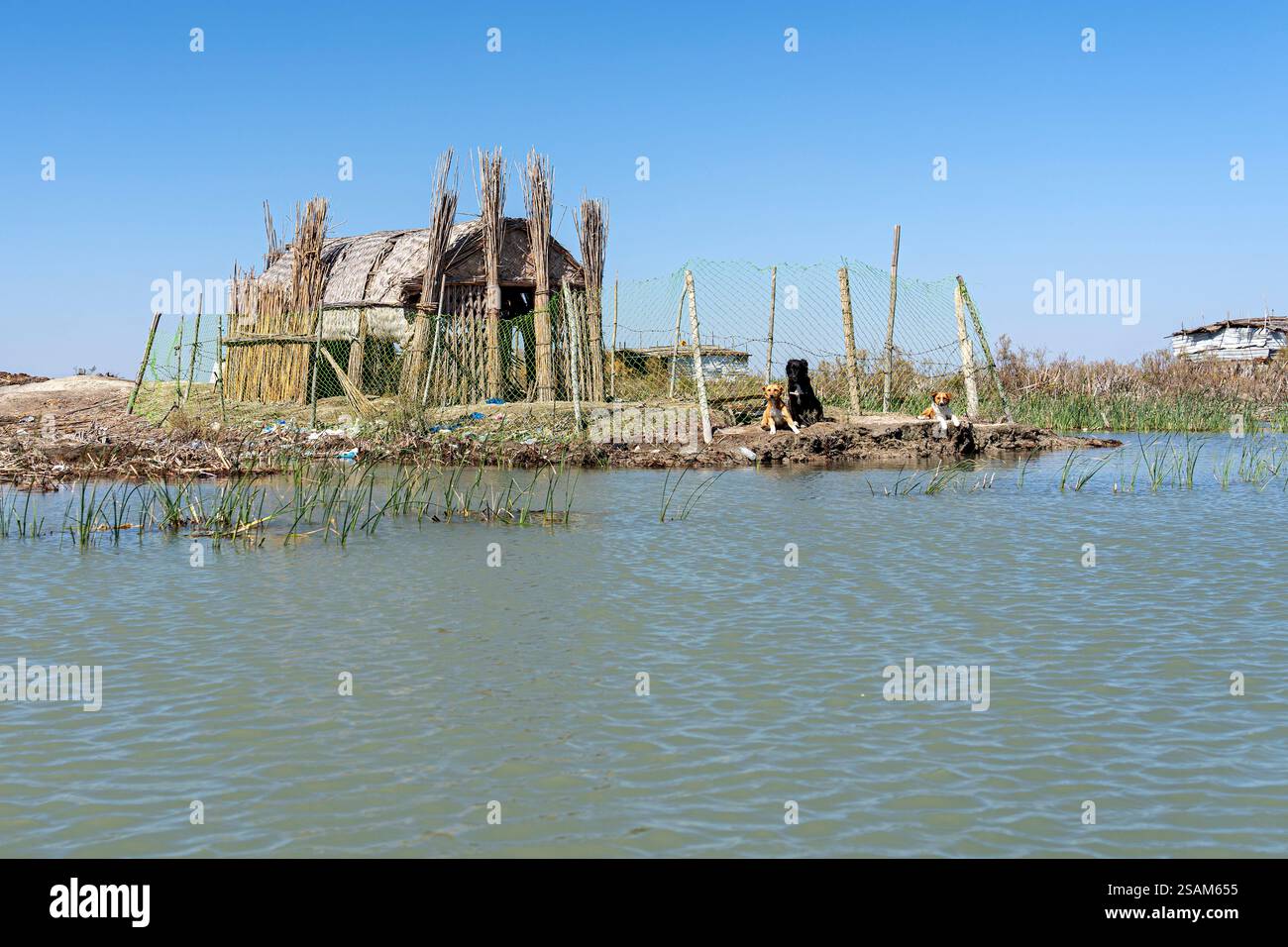 Reed house of Marsh Arabs, Mesopotamian Marshes, Ahwar of southern Iraq ...