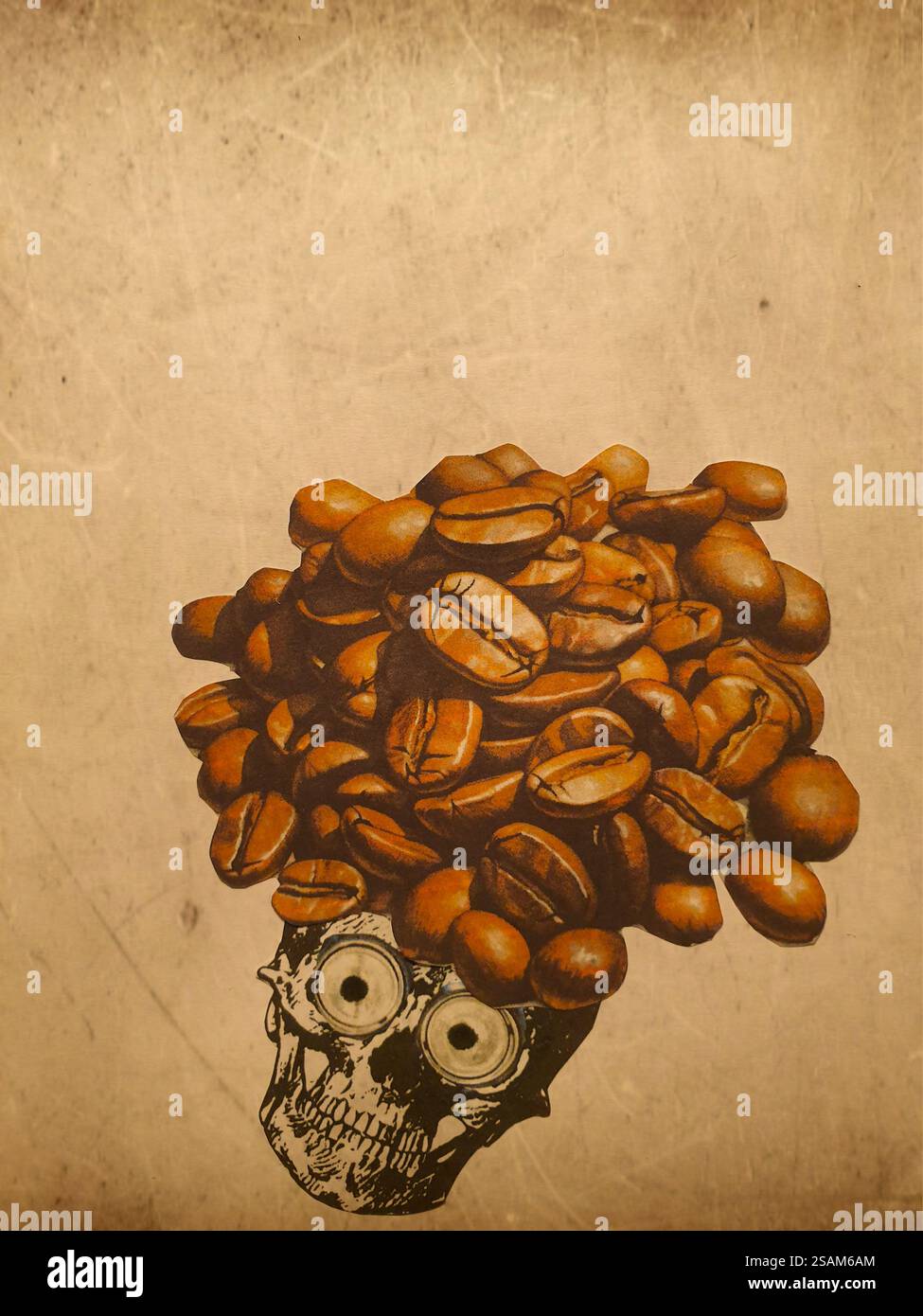 Skull with coffee beans as a hairstyle and wide open eyes Stock Photo ...