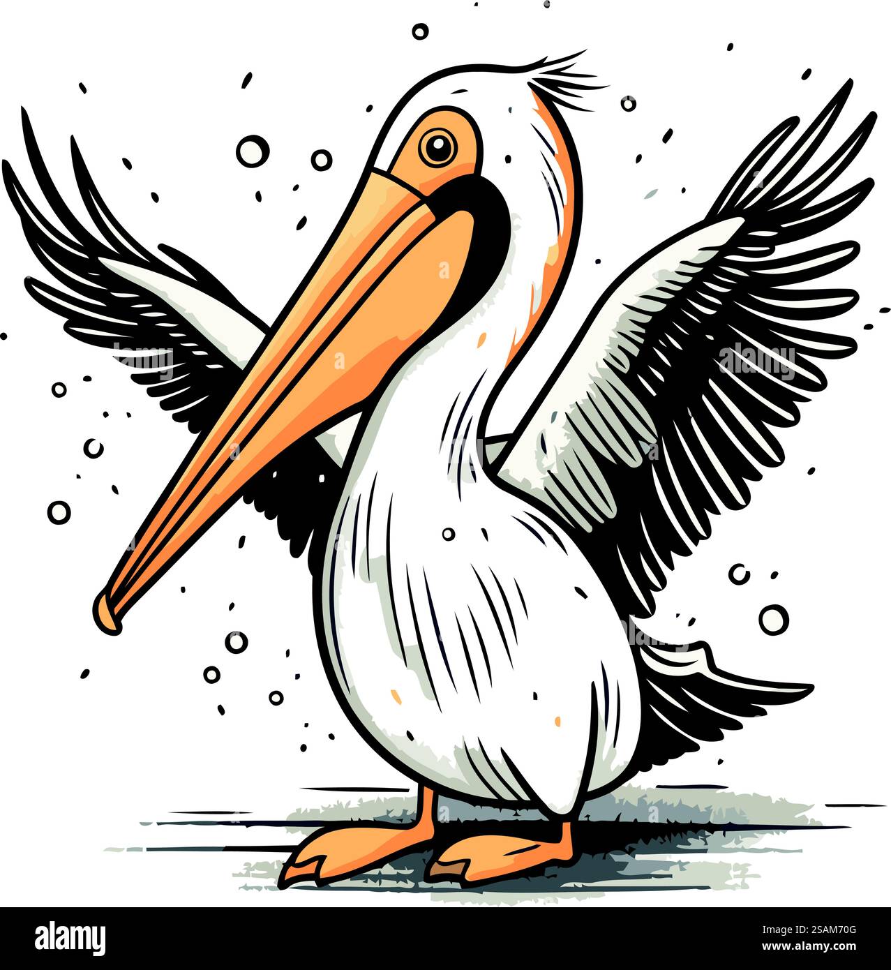 Pelican vector illustration. Hand drawn isolated on white background ...