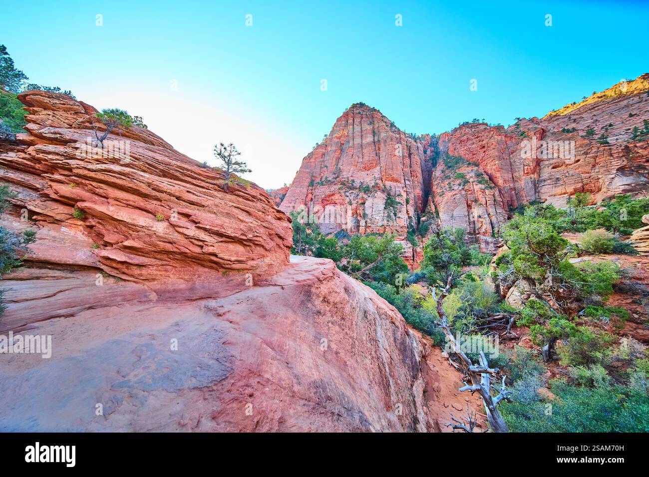Adventure outdoor icons hi-res stock photography and images - Alamy