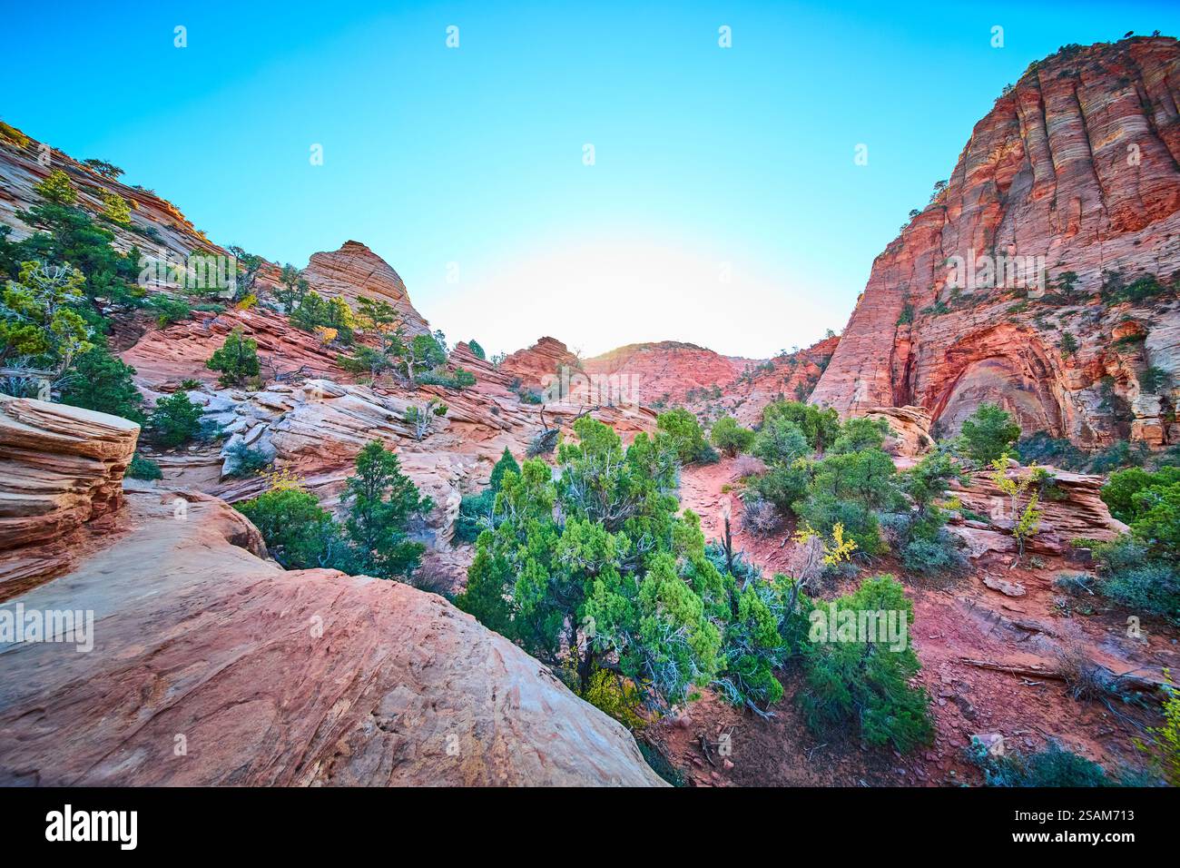 Zion National Park Red Rock Layers at Sunrise Eye-Level View Stock ...