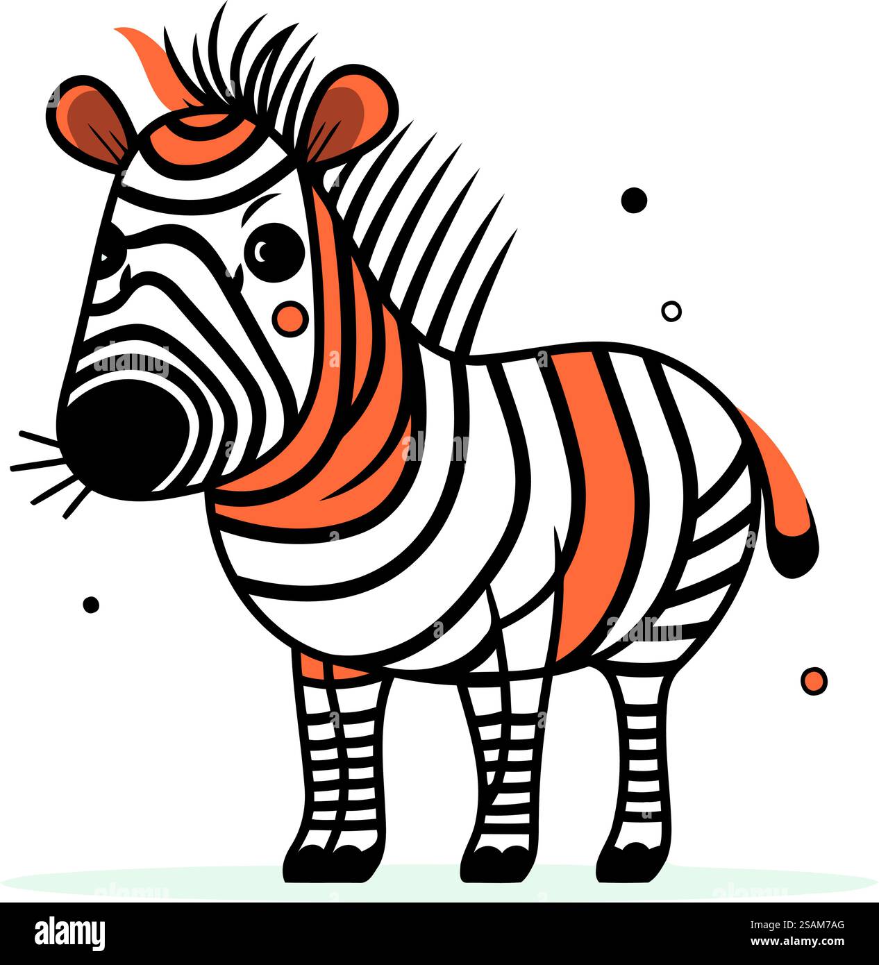 Zebra vector illustration. Isolated zebra on white background Stock Vector Image & Art - Alamy