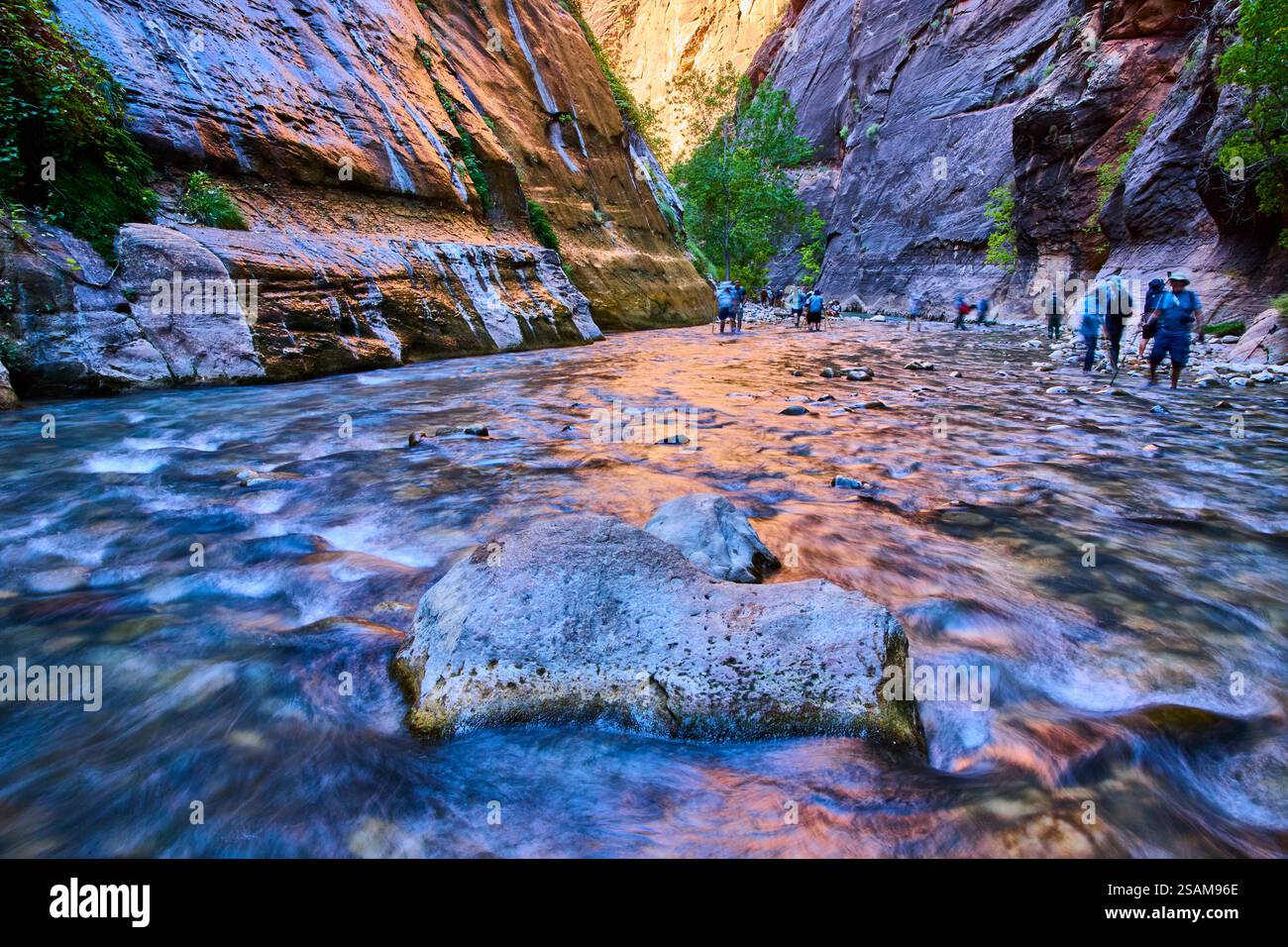 Zion Narrows River Flow with Canyon Walls at Water Level Perspective ...
