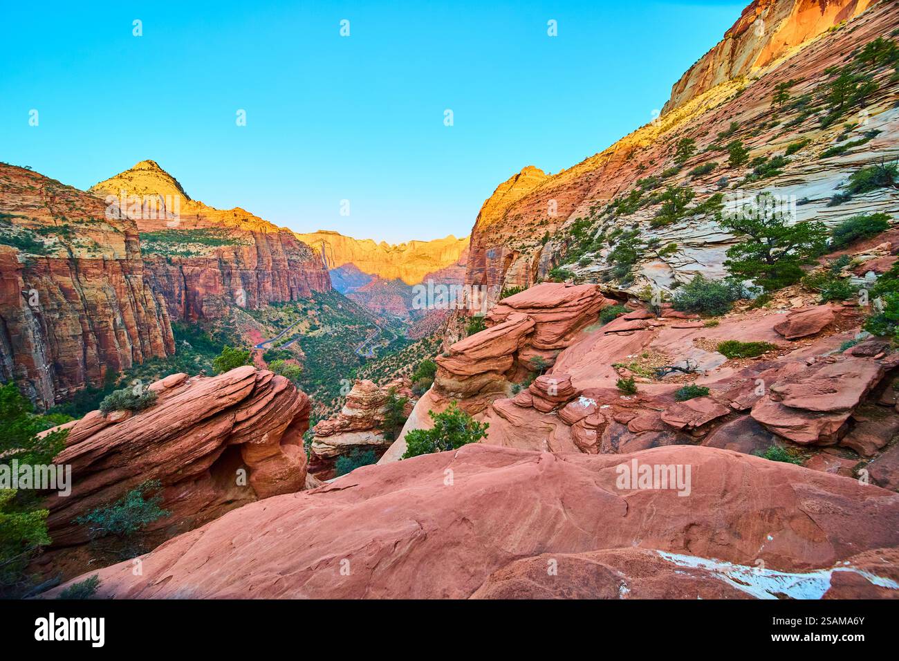 Zion National Park Red Rocks at Golden Hour Eye Level Perspective Stock ...