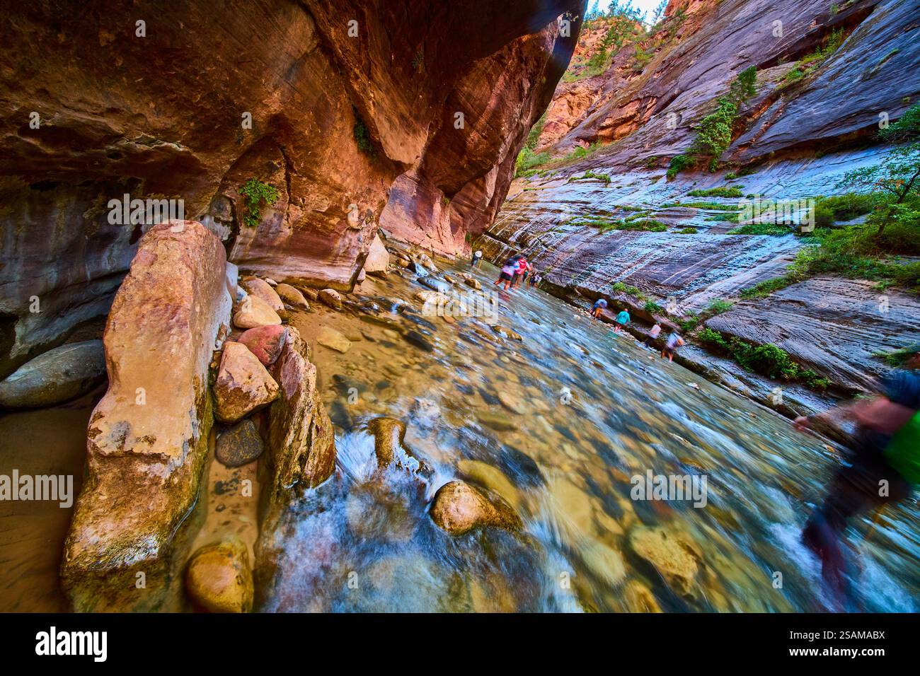 Trails in zion hi-res stock photography and images - Alamy