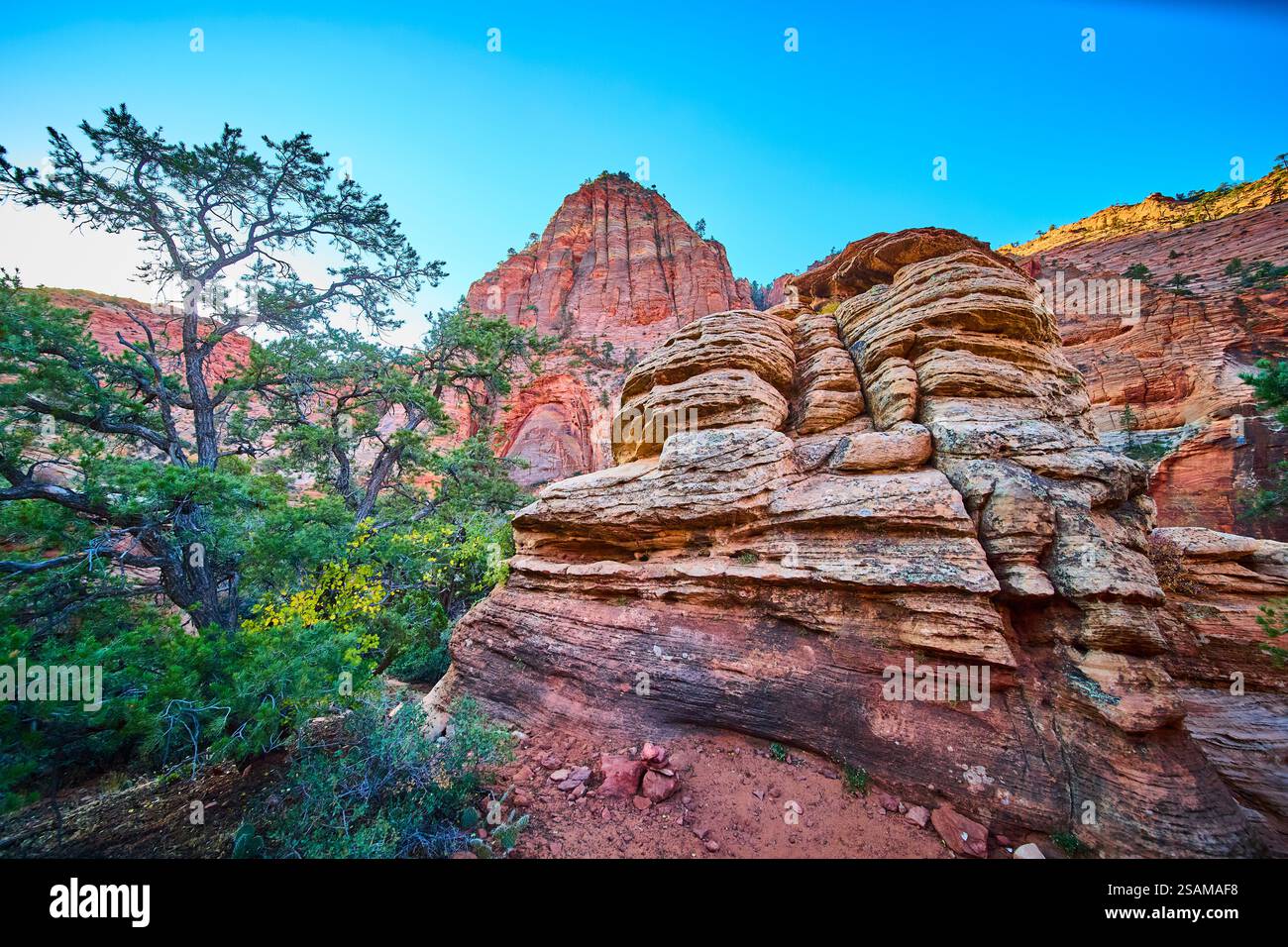 Rugged Sandstone Formations and Evergreens Eye Level View Stock Photo ...
