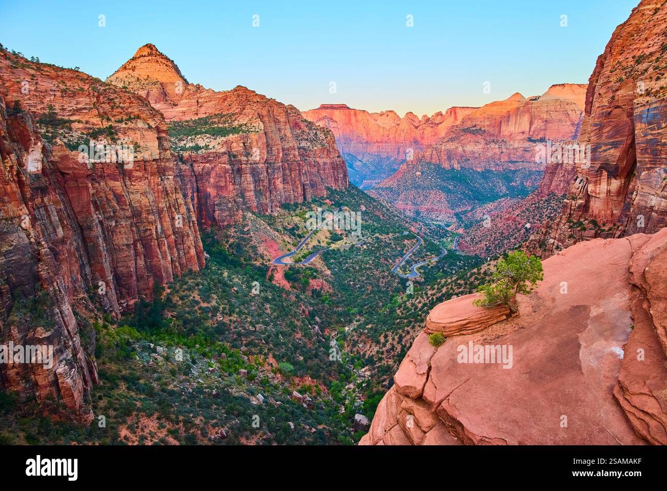 Zion National Park Red Rock Cliffs at Golden Hour from Cliff Edge View ...