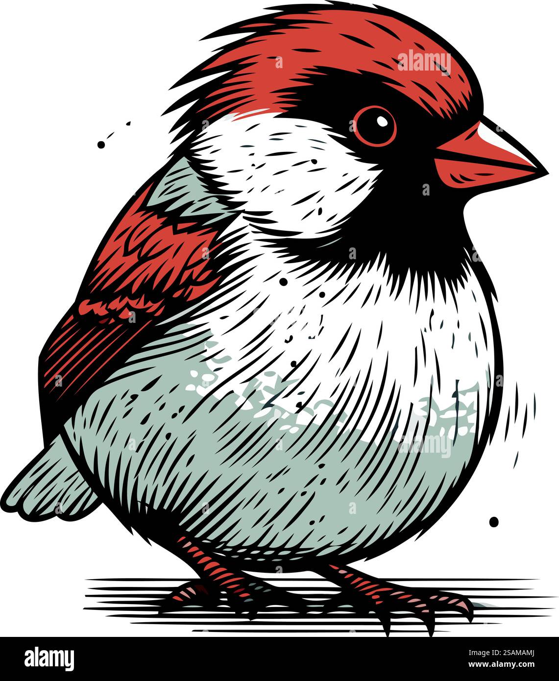 Sparrow. Hand drawn vector illustration in vintage engraving style ...