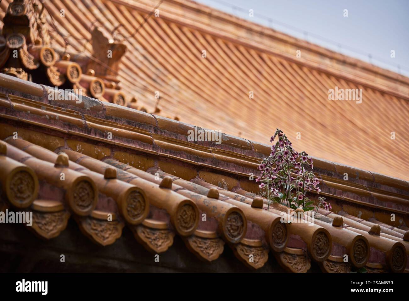 Rooftop of the Temple of Earth (Ditan Temple), built in 1530 during the ...